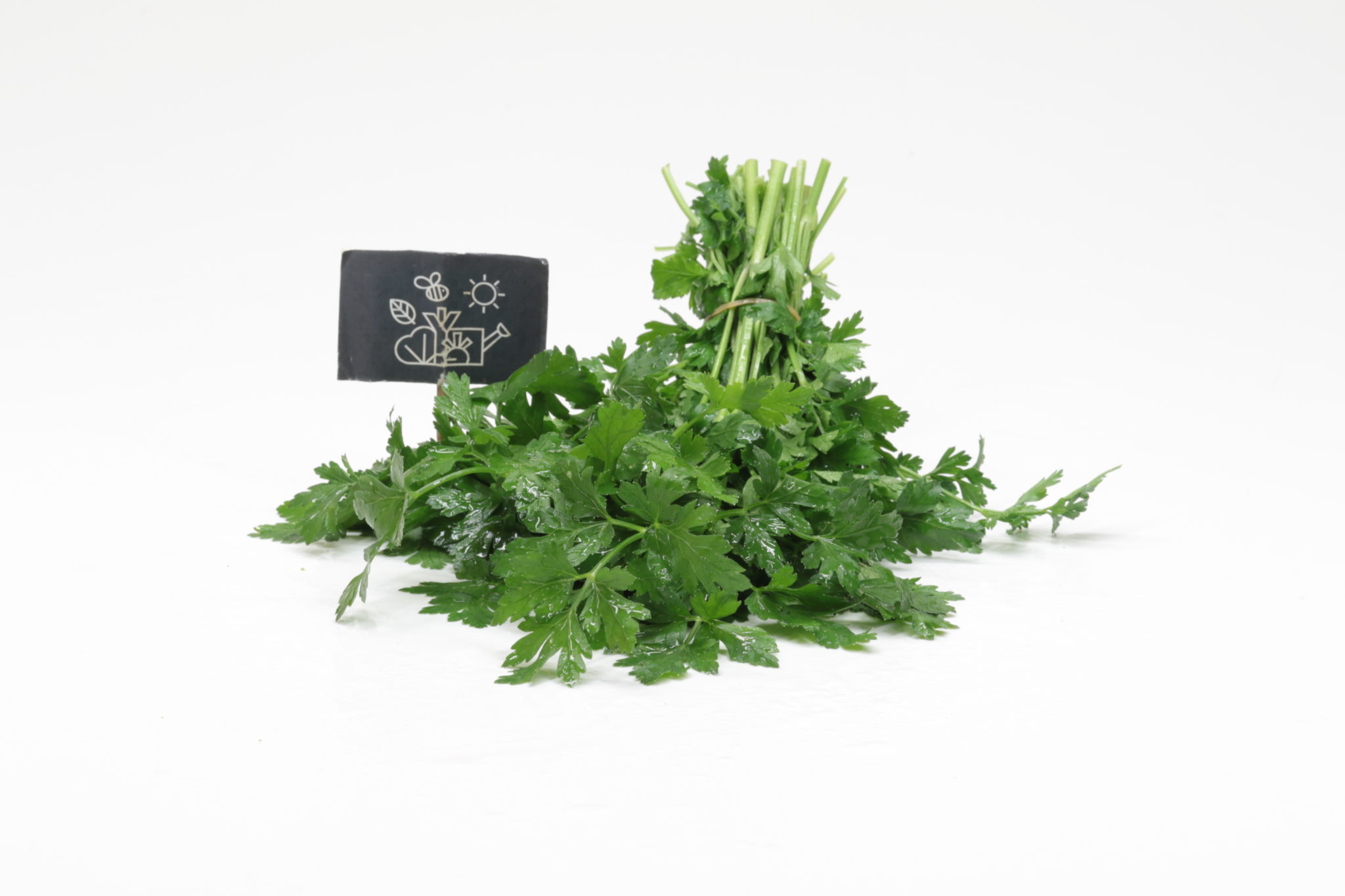 Persil plat légumes bio Louvain-la-Neuve