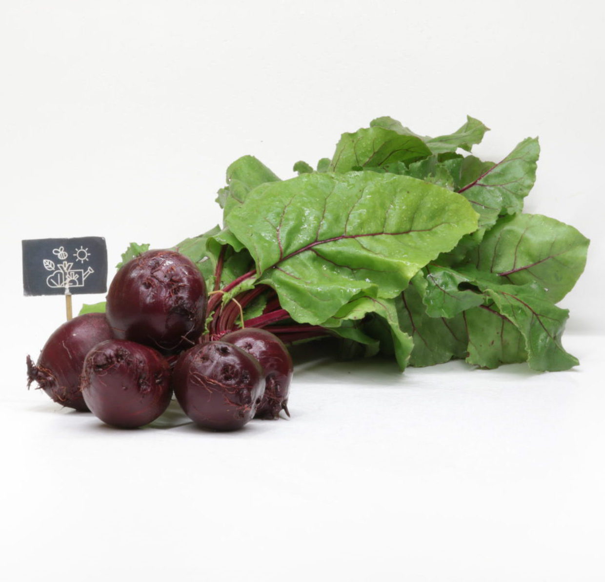 Betterave ronde botte légumes bio Louvain-la-Neuve