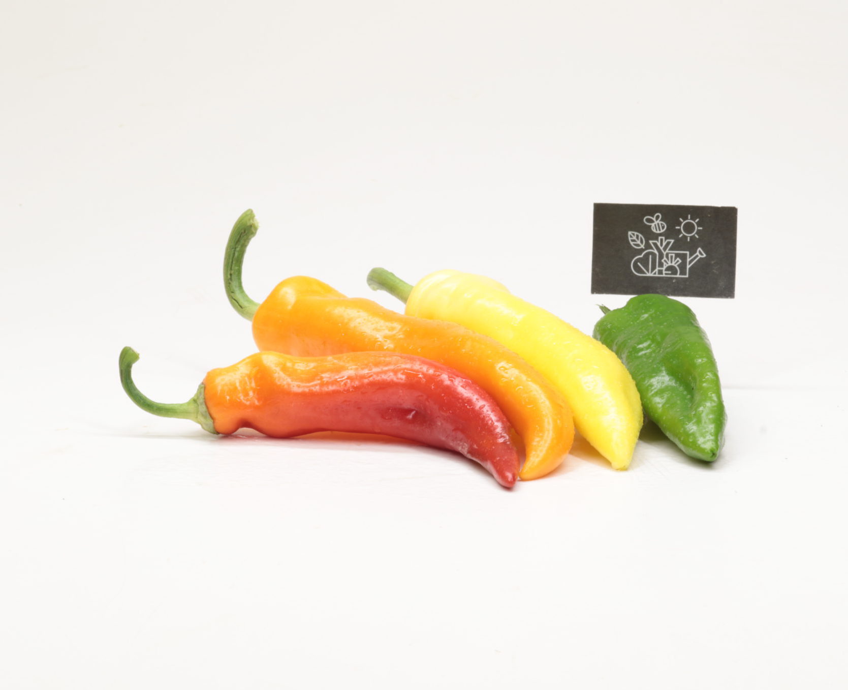 Poivrons longs en mélange légumes bio Louvain-la-Neuve