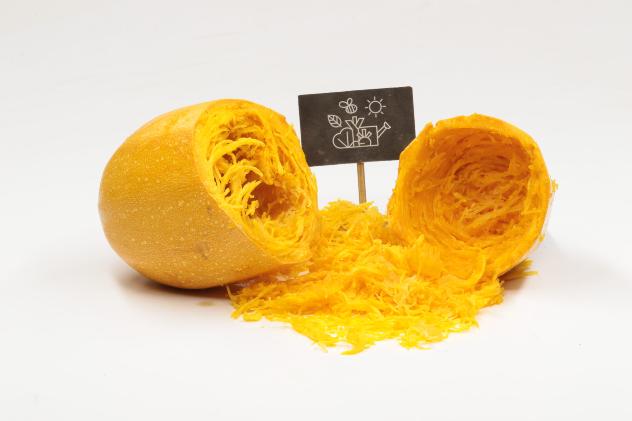 Courge spaghetti orange légumes bio Louvain-la-Neuve