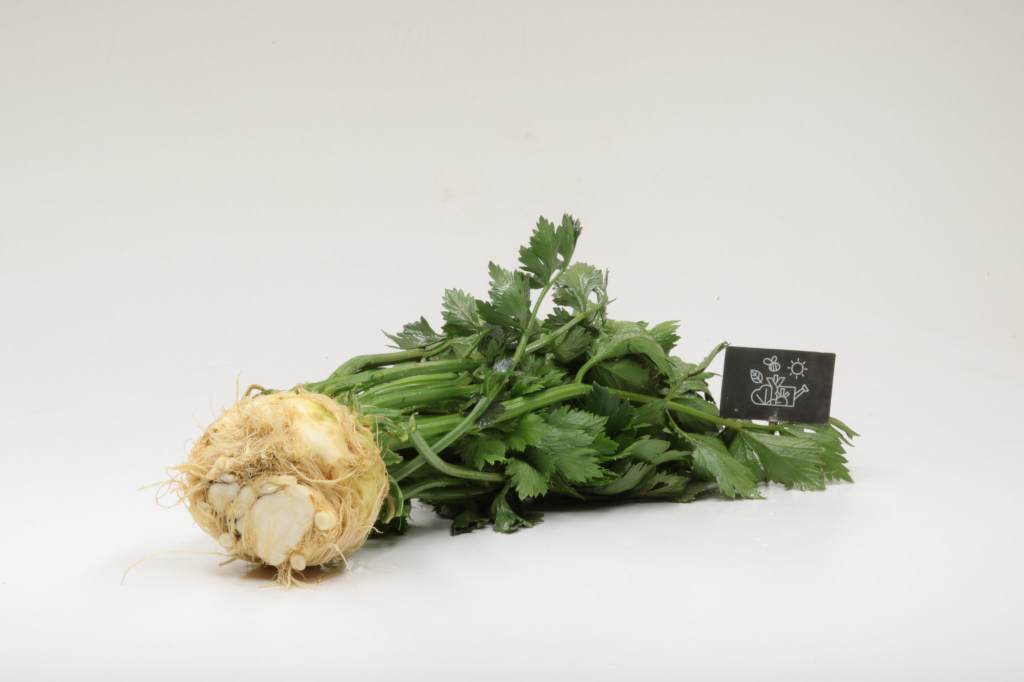 Céleri rave branche légumes bio Louvain-la-Neuve