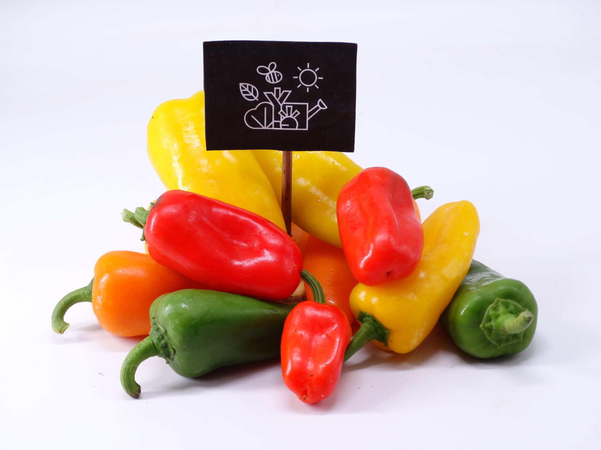 Poivrons mini en mélange légumes bio Louvain-la-Neuve