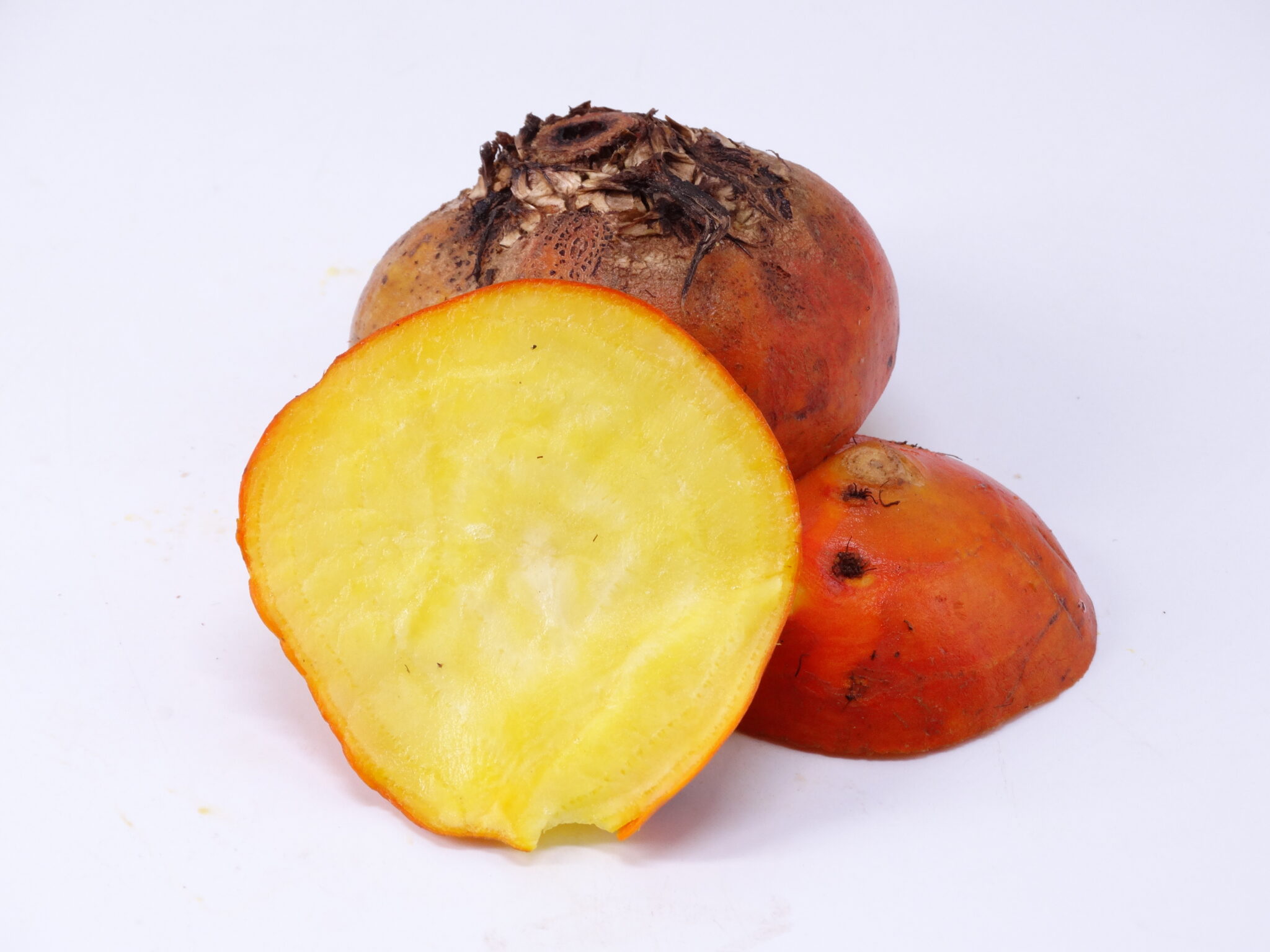 Betteraves jaunes légumes bio Louvain-la-Neuve