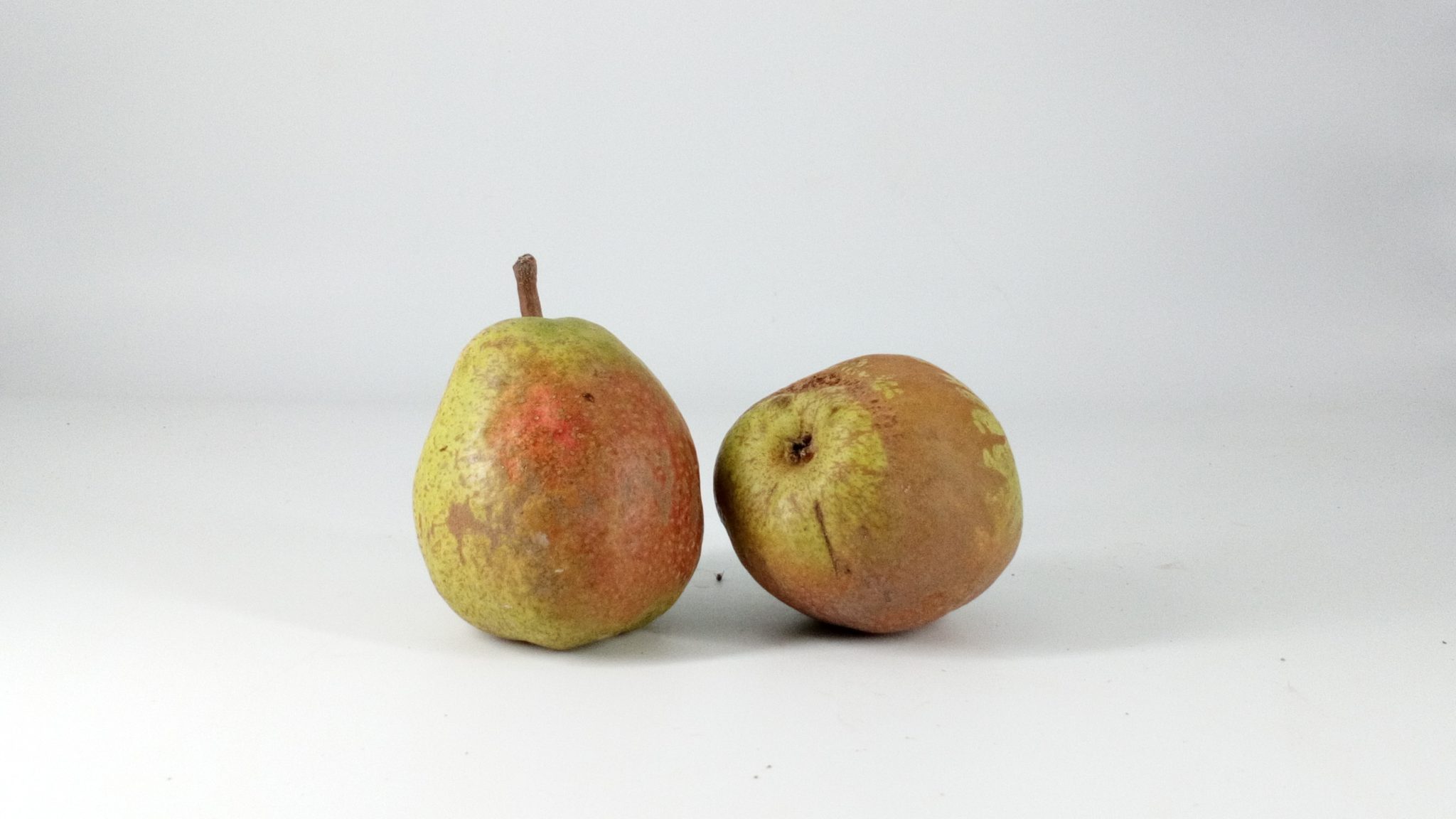 Poire Alexandre Lucas légumes bio Louvain-la-Neuve