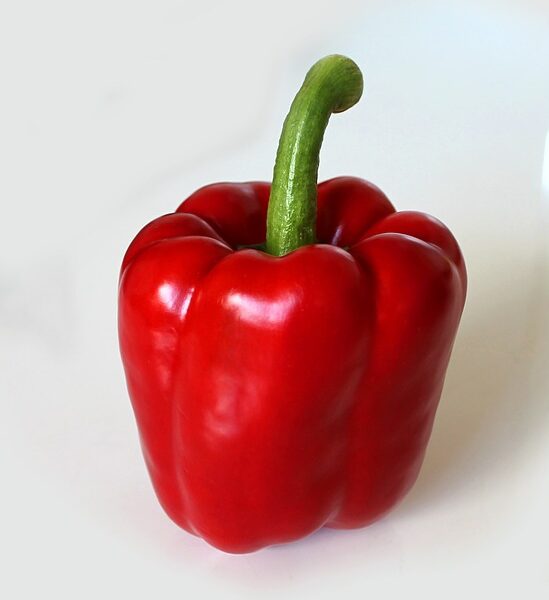 Catalogue de légumes bio à cuisiner à Louvain la Neuve